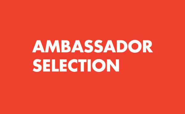 Ambassador selection | Artelaguna World